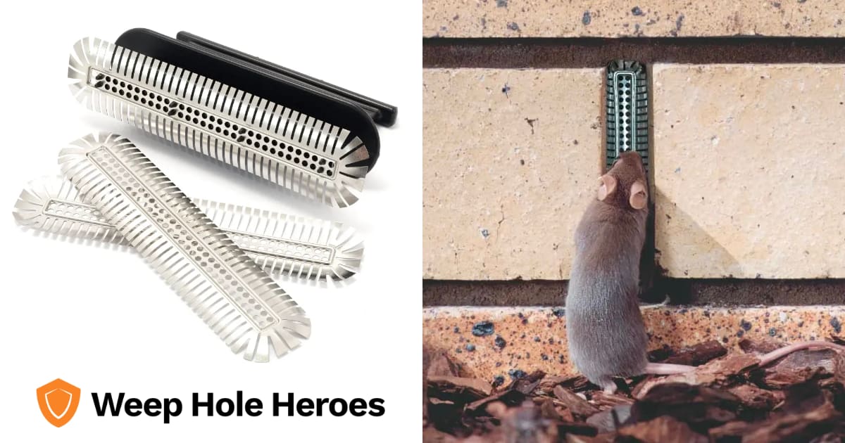 Information | Weep Hole Heroes